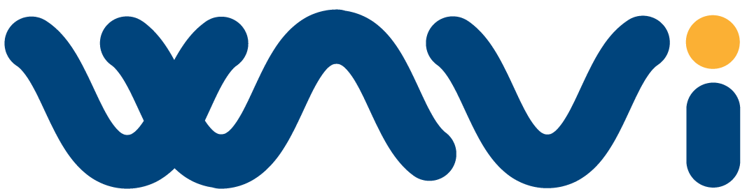 WAVi - Changing How We Look At The Brain